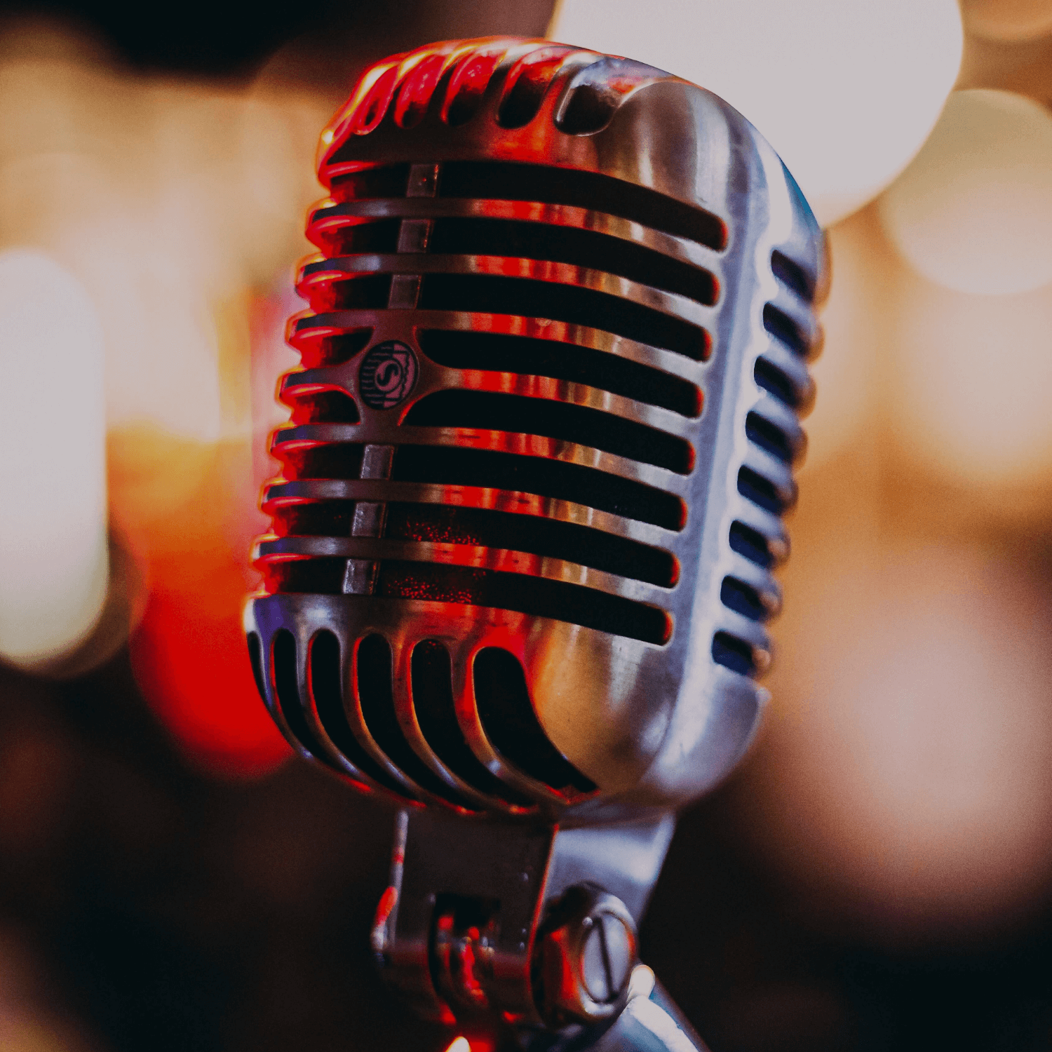 Want To Do More Speaking? This Is A Must. — Signify I Fractional Chief ...