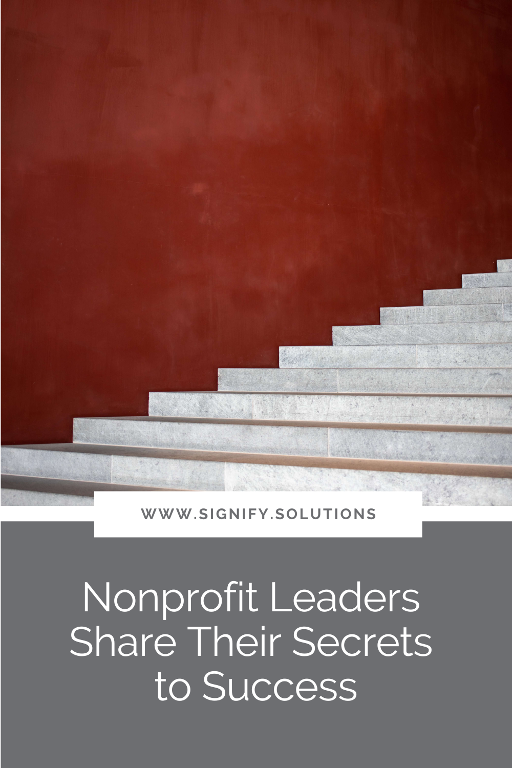 Nonprofit Leaders Share Their Secrets to Success — Signify I Fractional ...