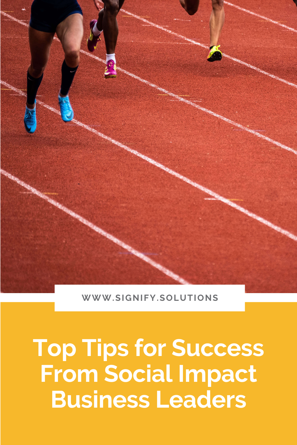 Top Tips for Success From Social Impact Business Leaders — Signify I ...