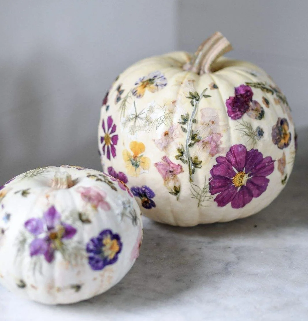 Events — Willow and Mabel Garden Co. Blog-Willow & Mabel Garden Co