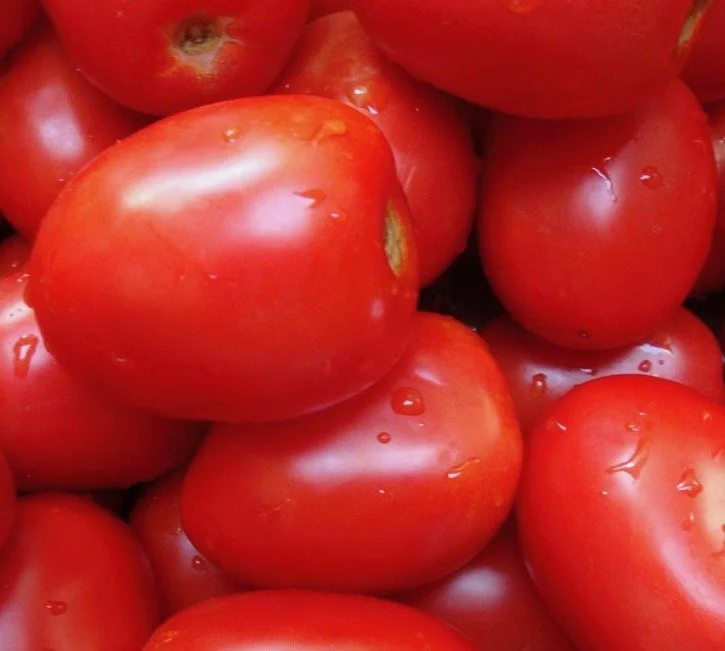 Top Tomatoes — Home Garden Seed Association