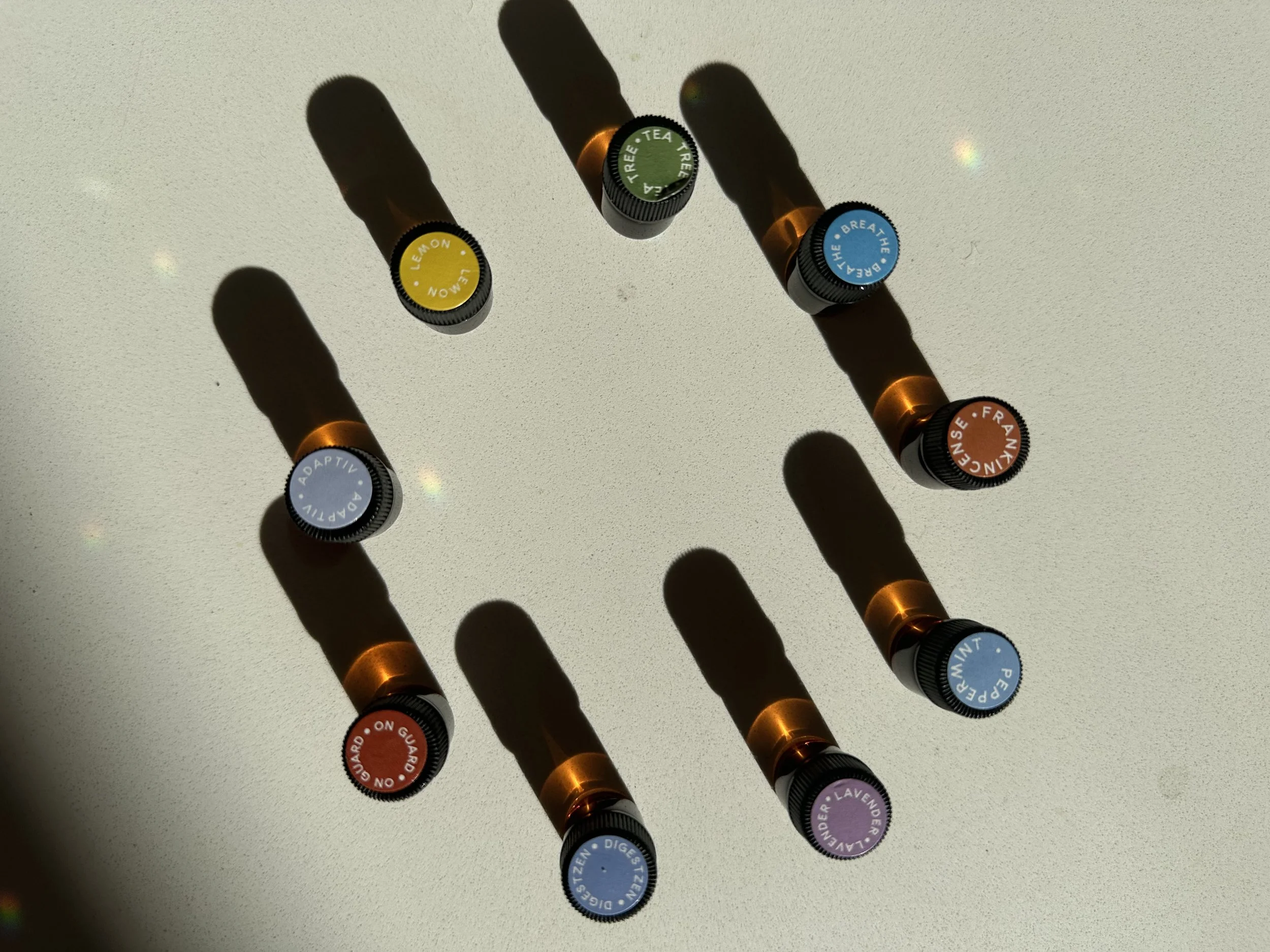 Early Riser Companion — Early Riser Companion