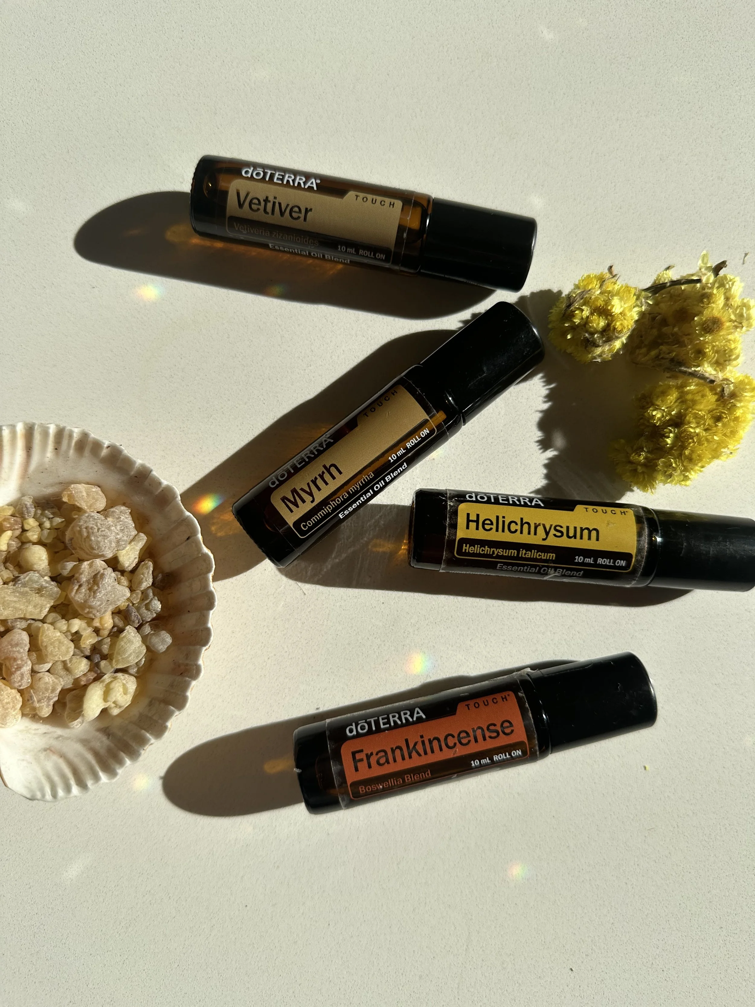 Early Riser Companion