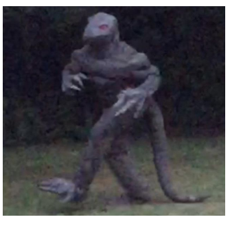 The Legend of Lizard Man: Horror in Rural Carolina — Swamp Ape Review