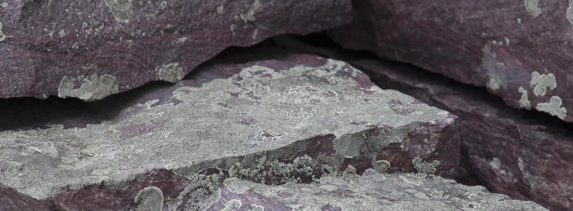 Mallory Jasicki - Rock Climbing Instructor with Devils Lake Climbing Guides