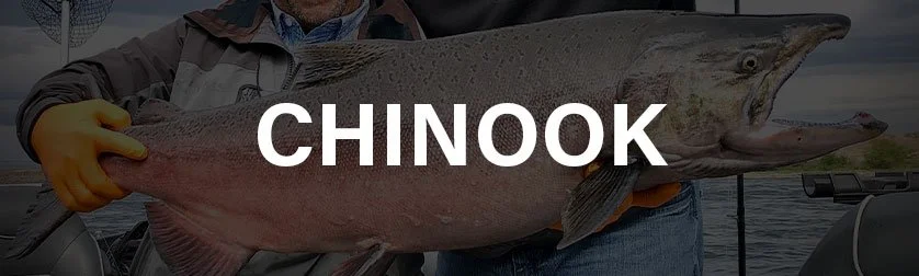 Chinook — Austin's Northwest Adventures