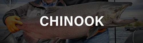Chinook — Austin's Northwest Adventures
