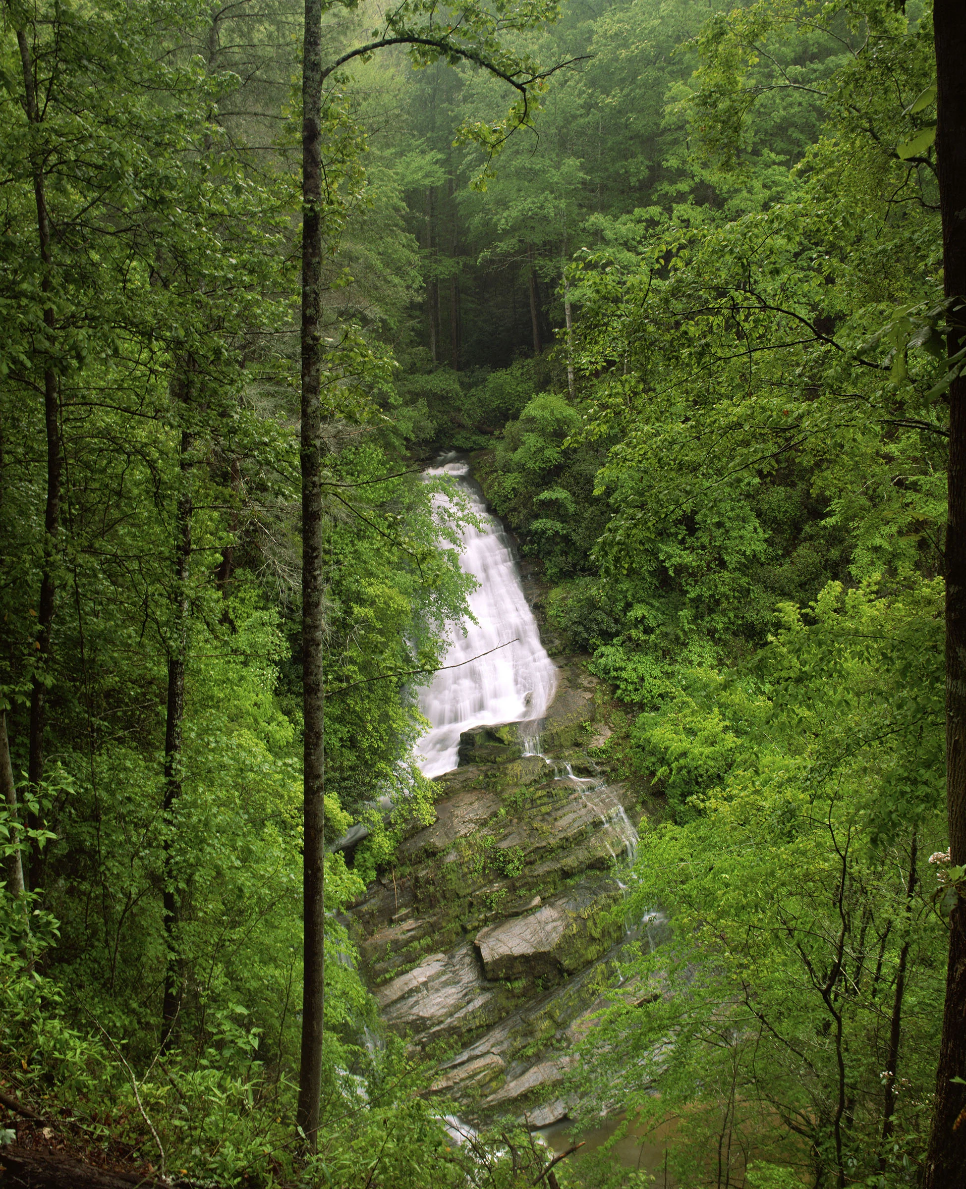 Brandon Kline Wilderness & Nature Photographs