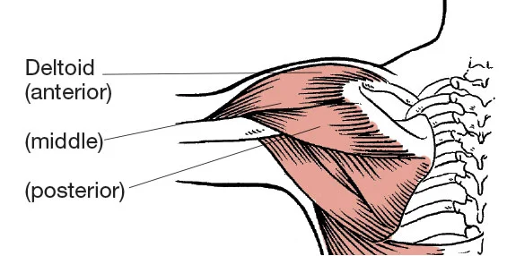 Is this exercise bad for my shoulder? #Fitness #Health #Seattle ...