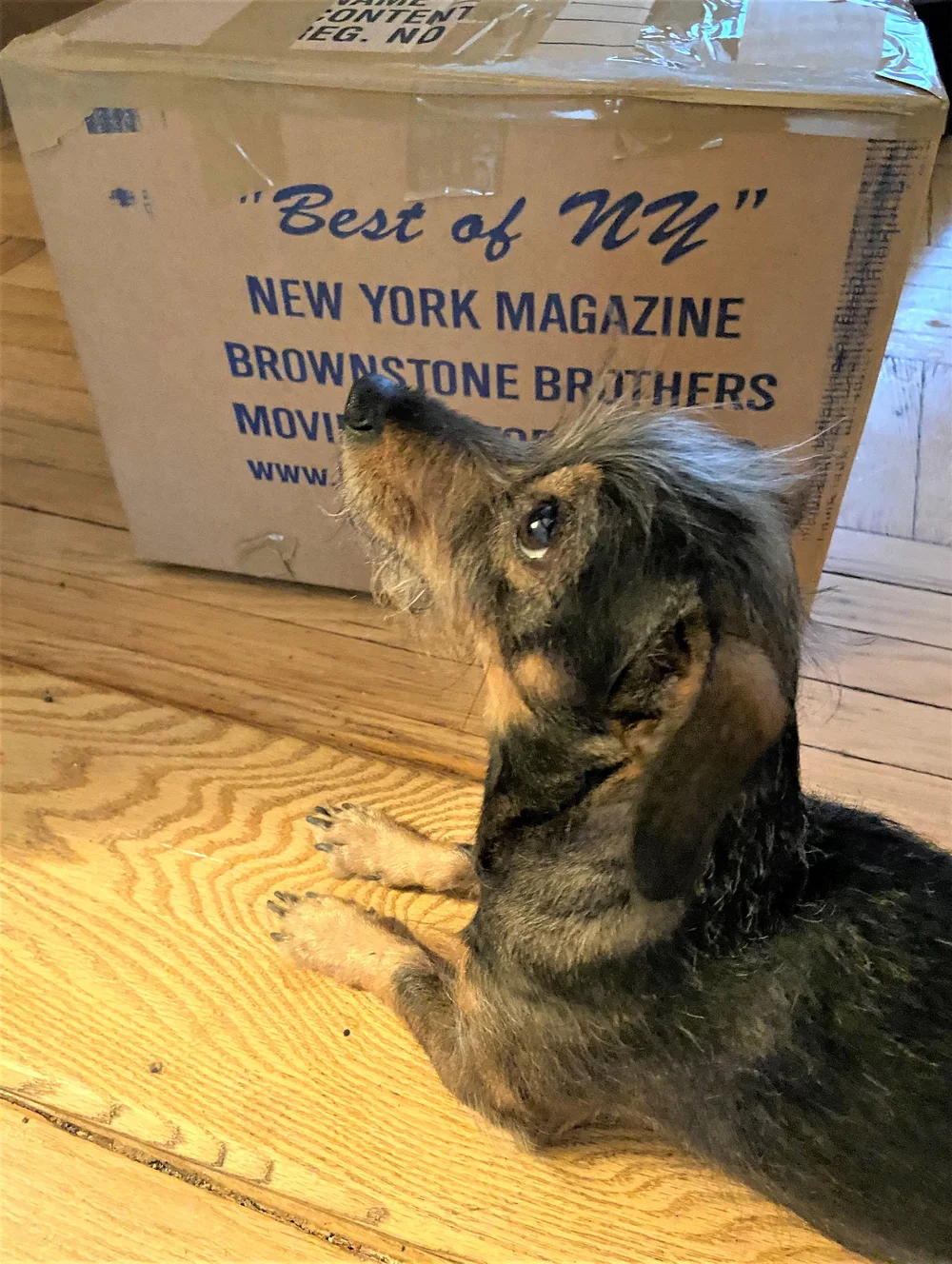 Tips on Moving in NYC — Brownstone Brothers Moving & Storage