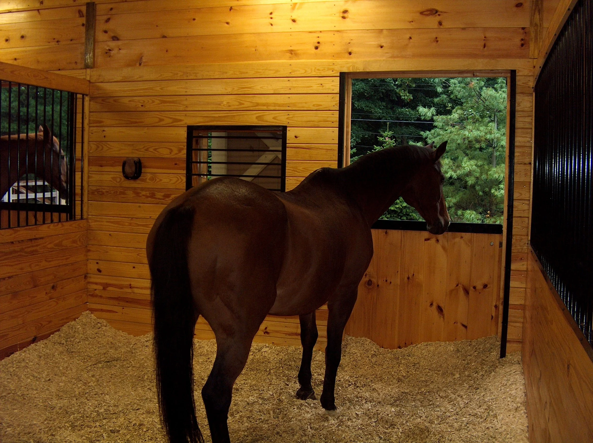 Chew Guard — Barn Depot