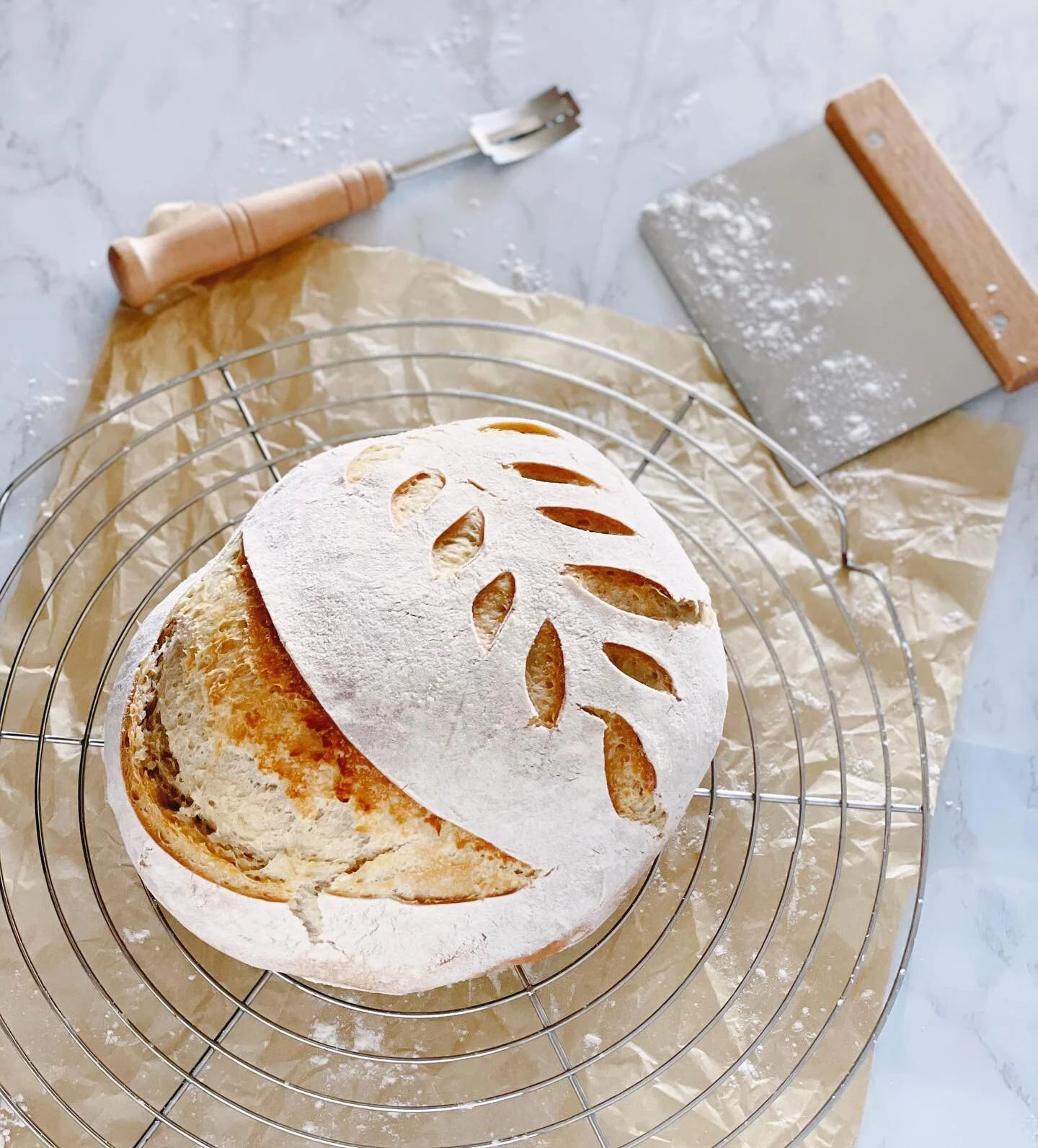 About — Mackenzie Hansen