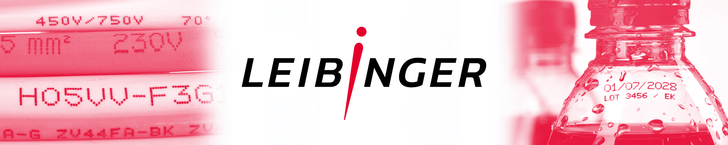 Leibinger — Integrated Services Inc.