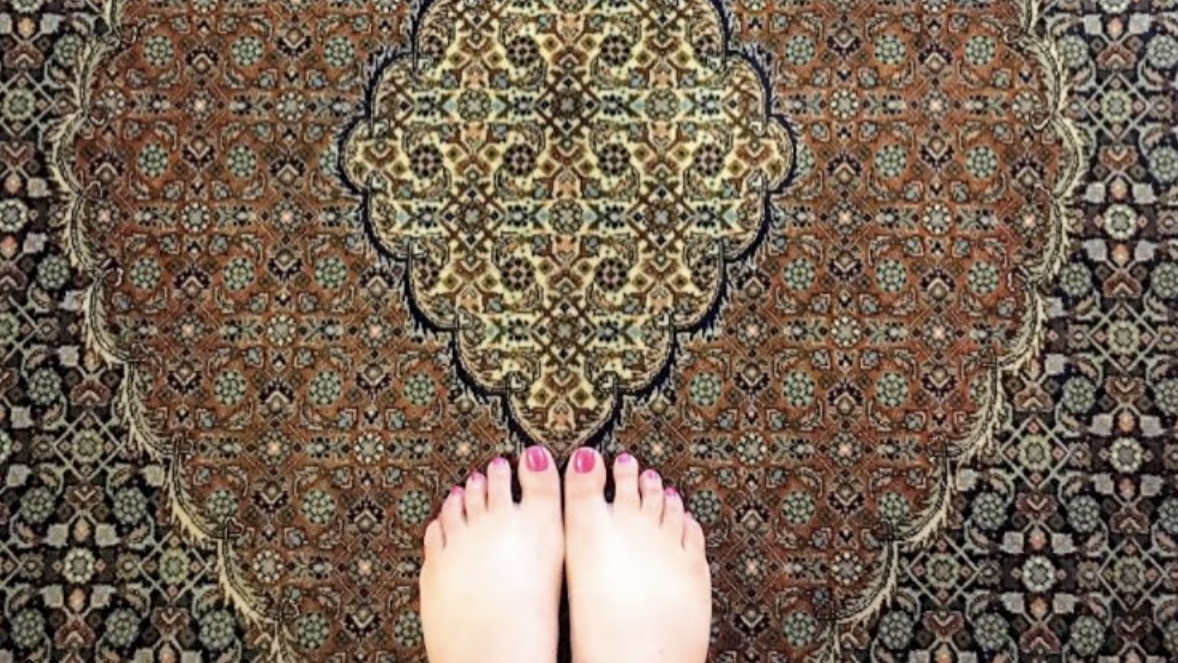 Blue Parakeet Rugs - Antique & Vintage Rugs