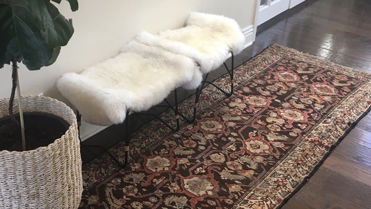 Blue Parakeet Rugs - Antique & Vintage Rugs