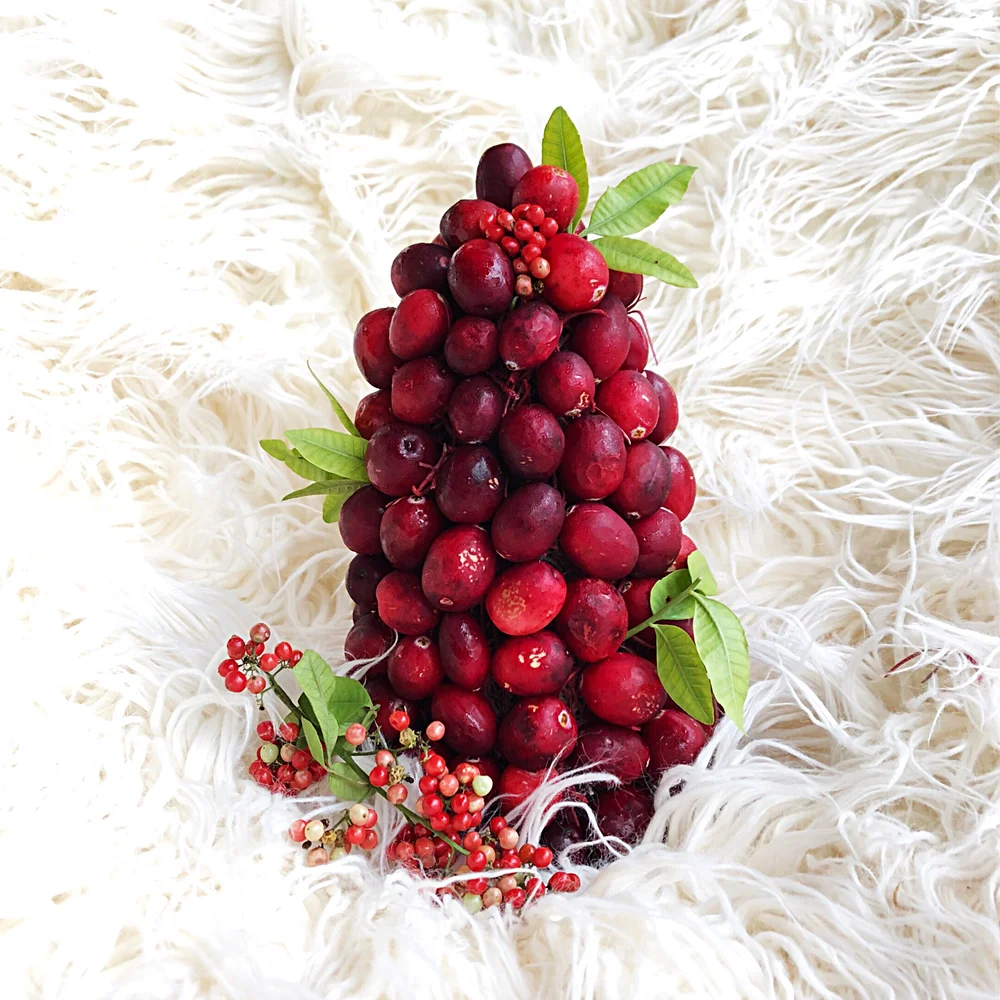 DIY Cranberry Topiary - Perfect for Your Last Minute Holiday Decor ...