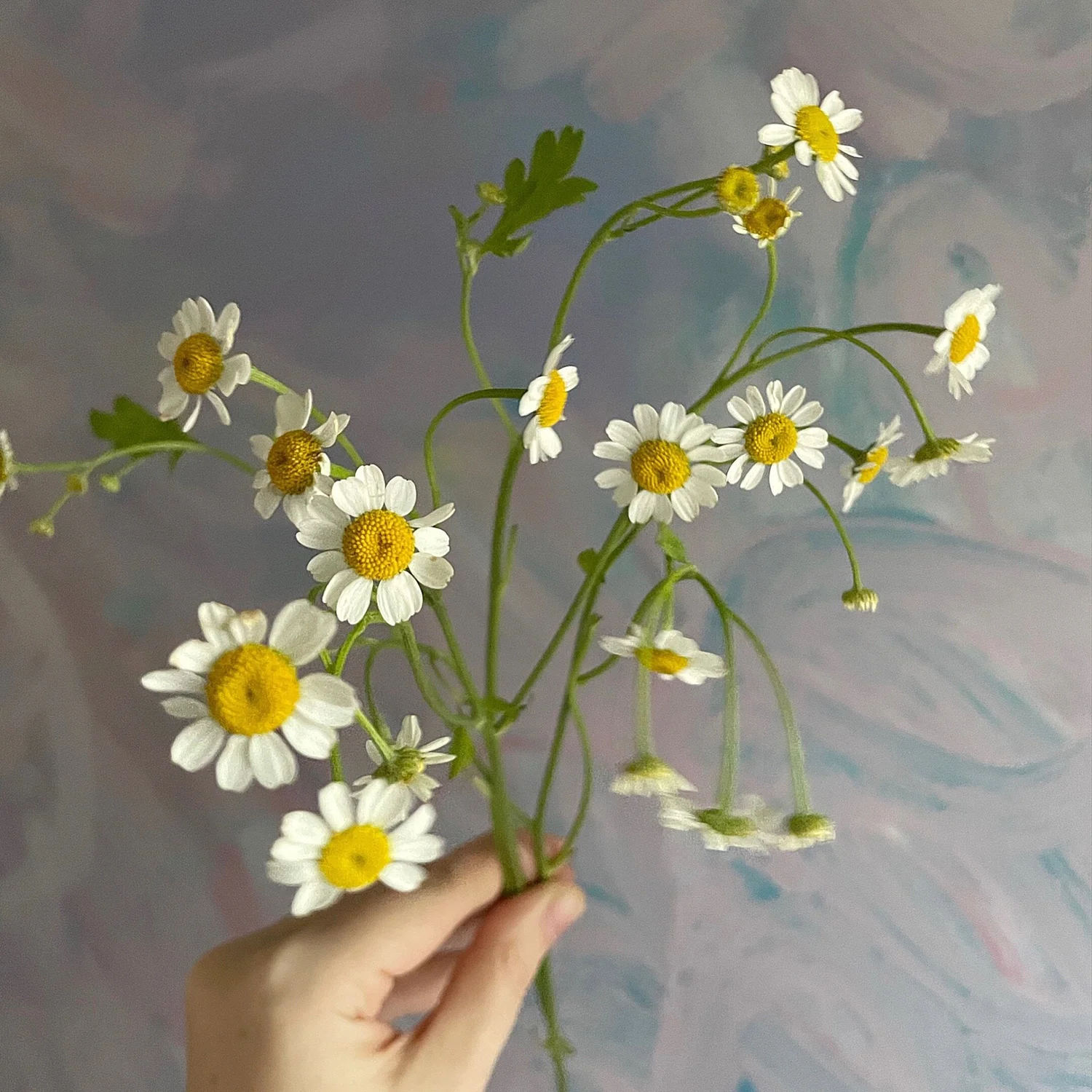 March Magic Bouquet — Atelier Ashley Flowers