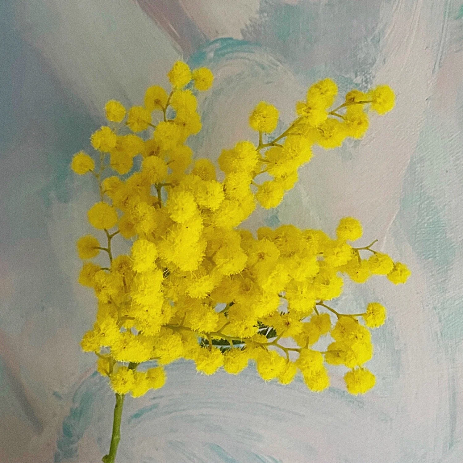 March Magic Bouquet — Atelier Ashley Flowers