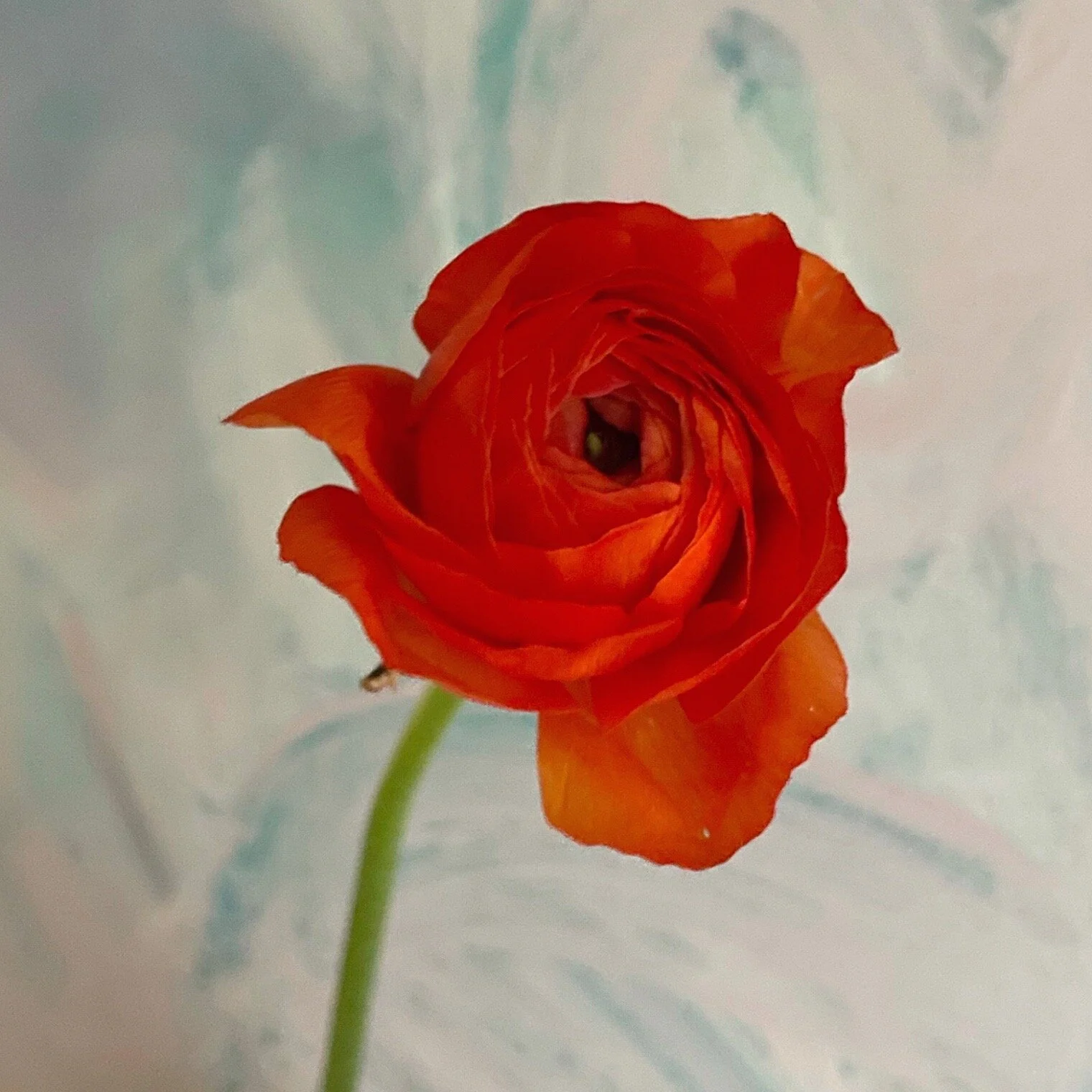 March Magic Bouquet — Atelier Ashley Flowers
