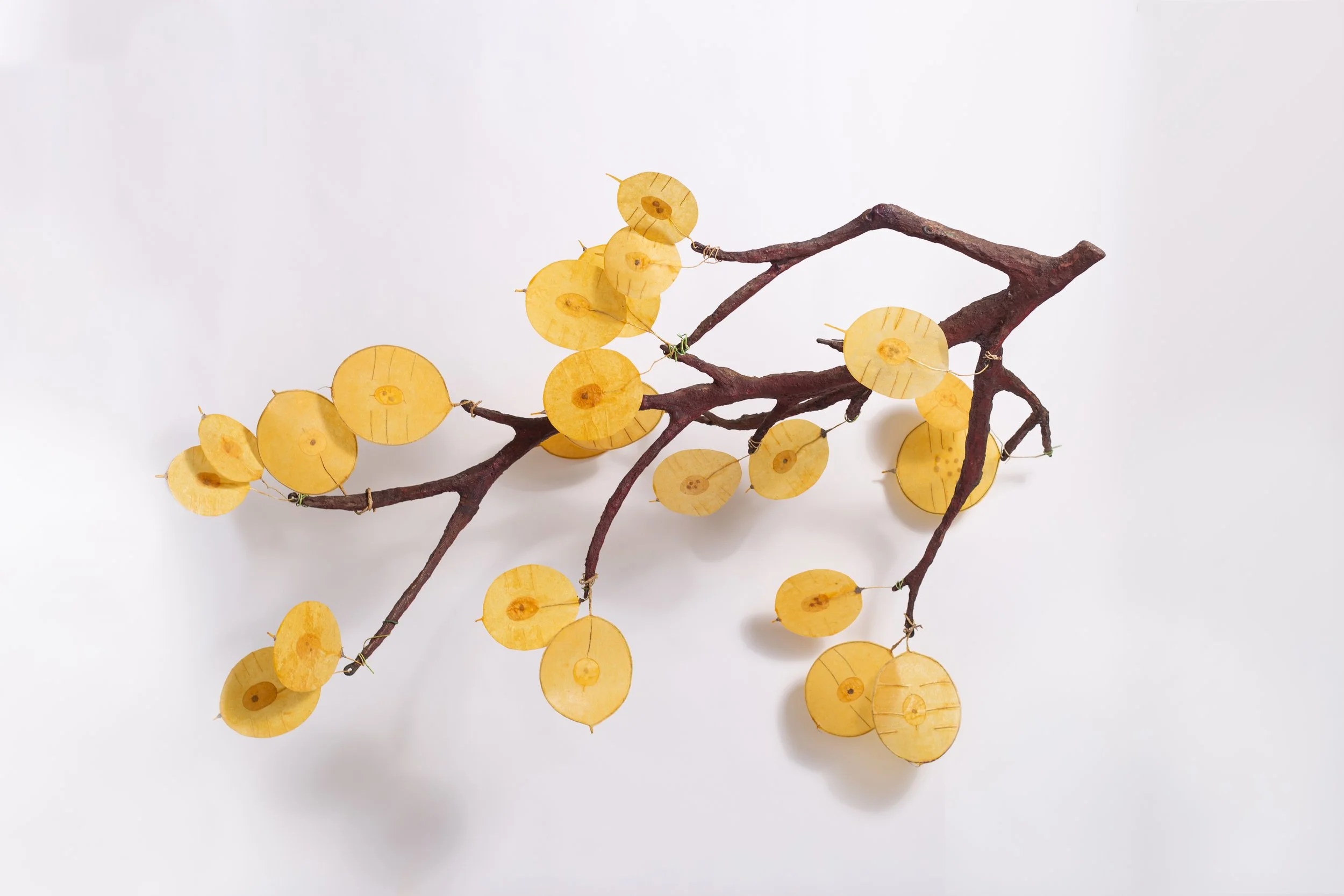 Hanging Gardens — Ming Fay 費明杰