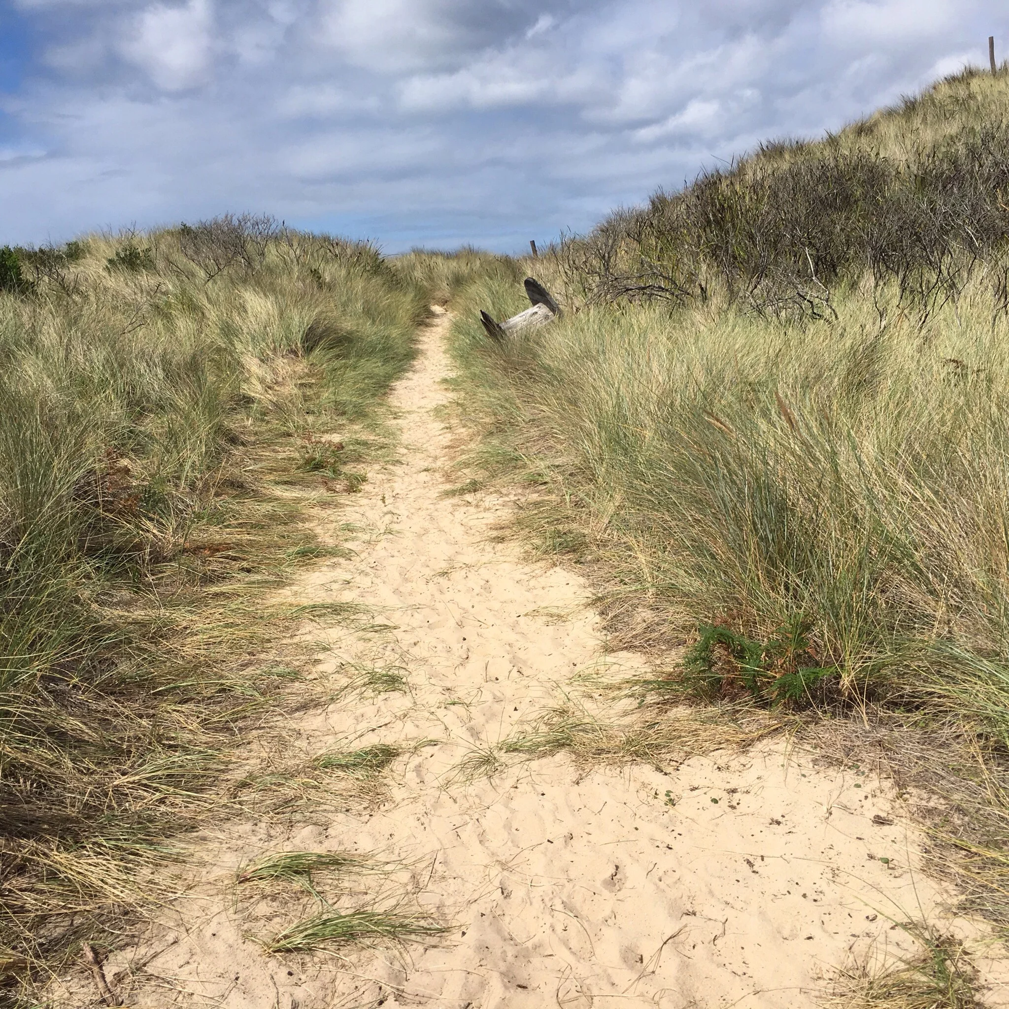 Book Now — Scamander Sanctuary Holiday Park