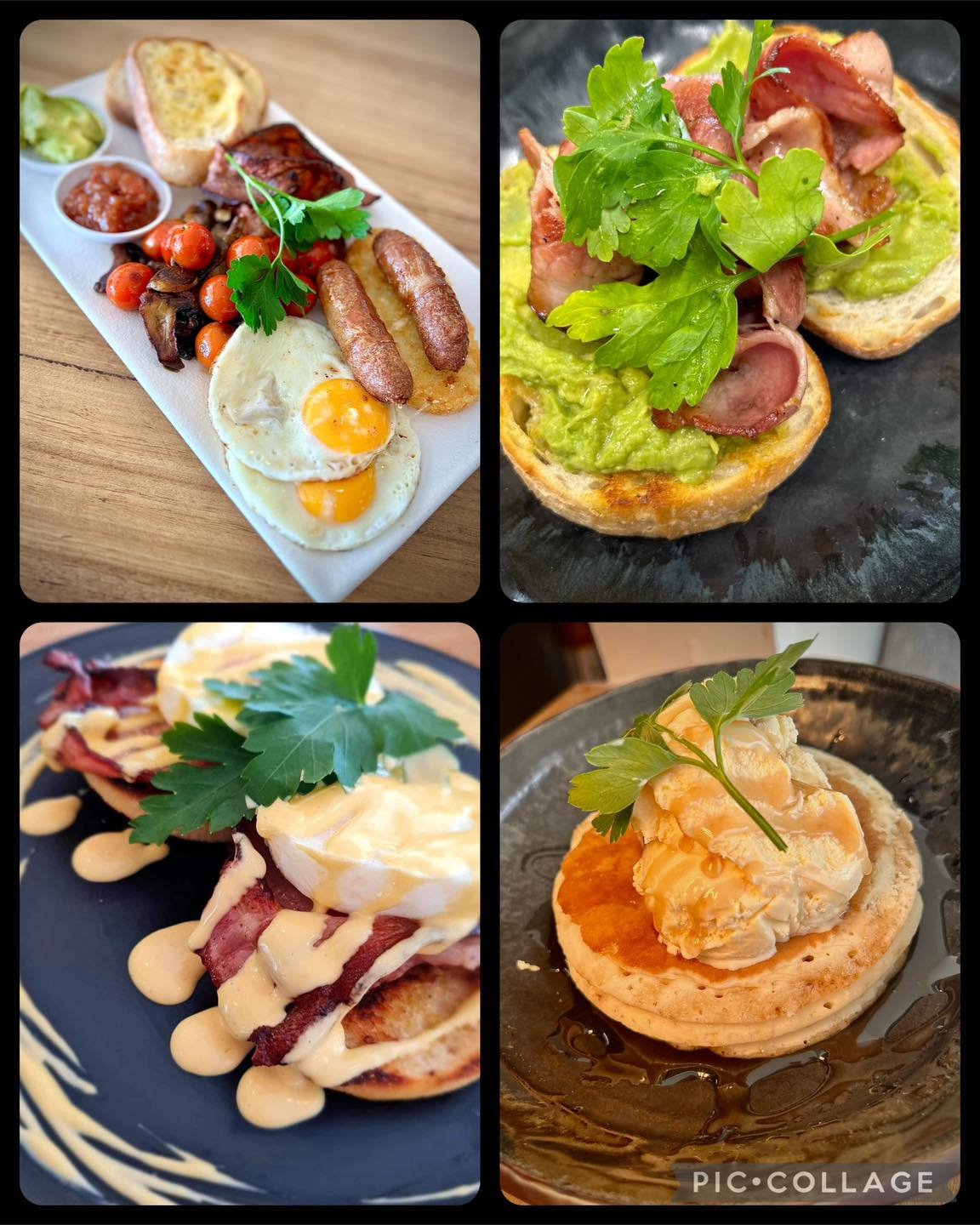 Scamander Sanctuary Holiday Park: Scamander Accommodation, Scamander ...