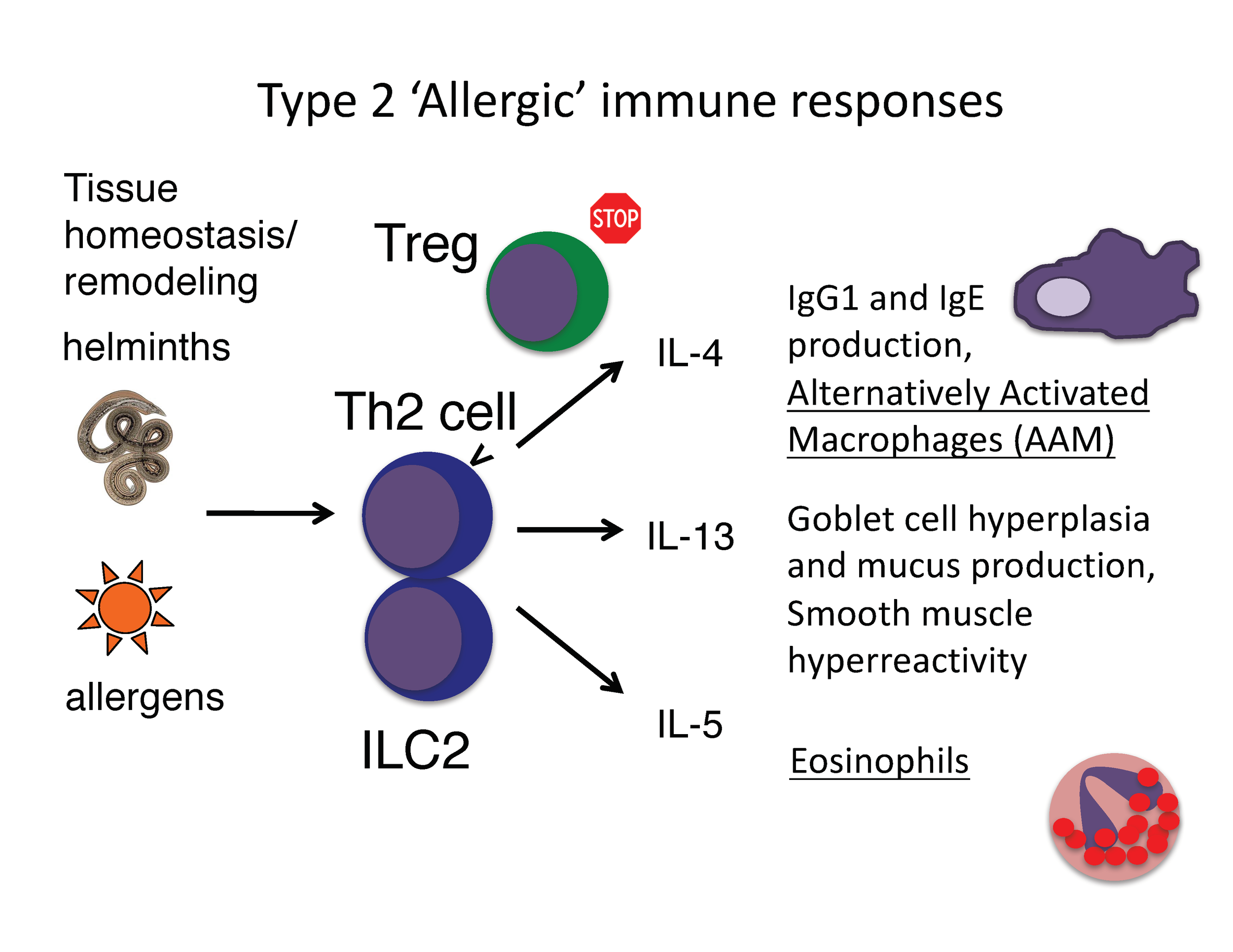 Research Projects — ARI MOLOFSKY LAB @ UCSF