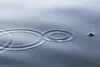 The Ripple Effects of Healing — Heartseed Health