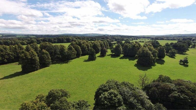 Abbey Leix, an Irish Estate Home — Francis York