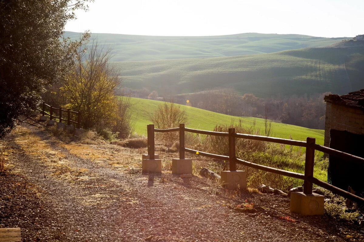 700 Acre Vineyard Estate in Val d' Orcia — Francis York