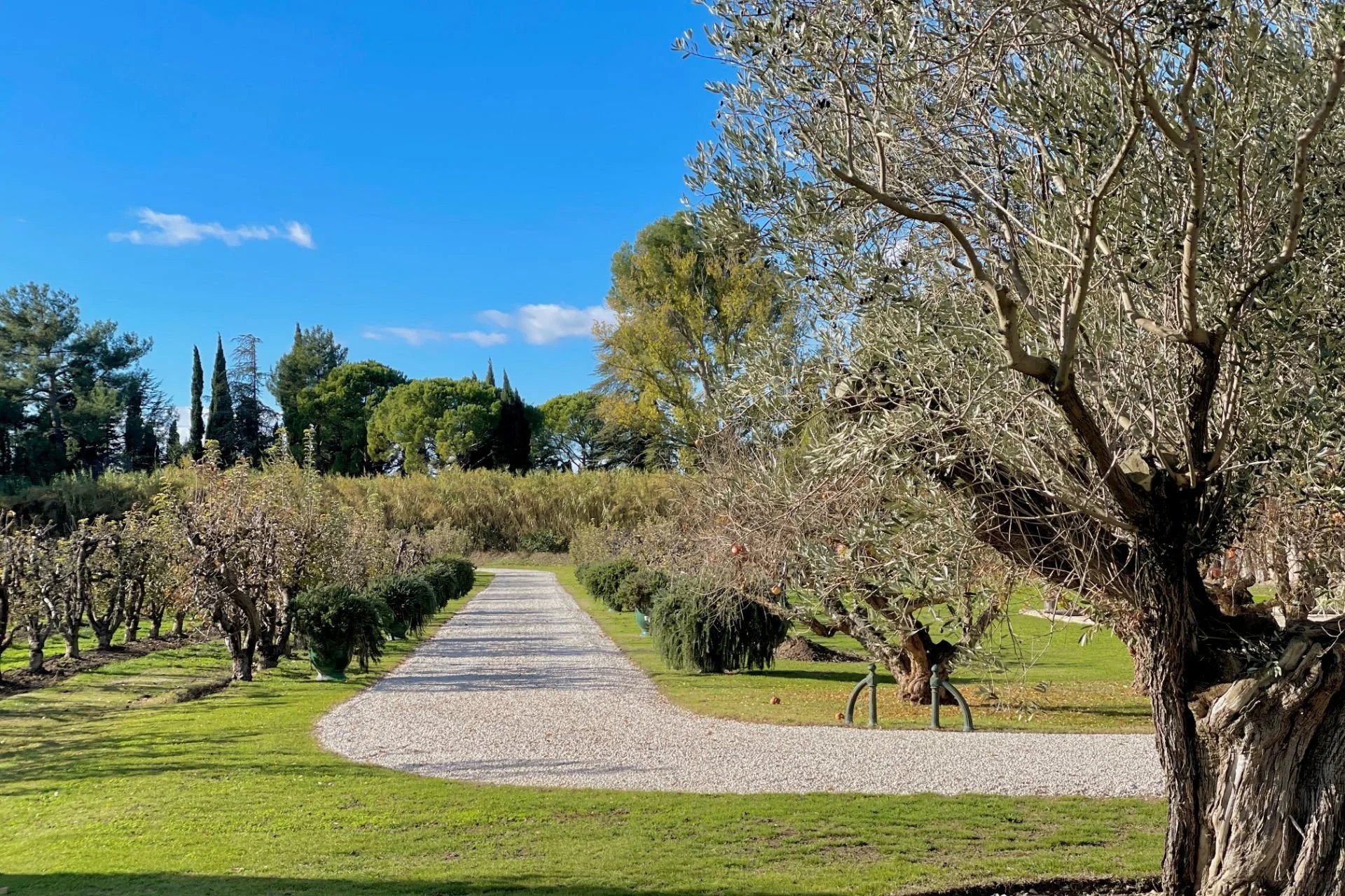 Beautifully Restored Provençal Farmhouse Near Saint-Rémy-de-Provence ...