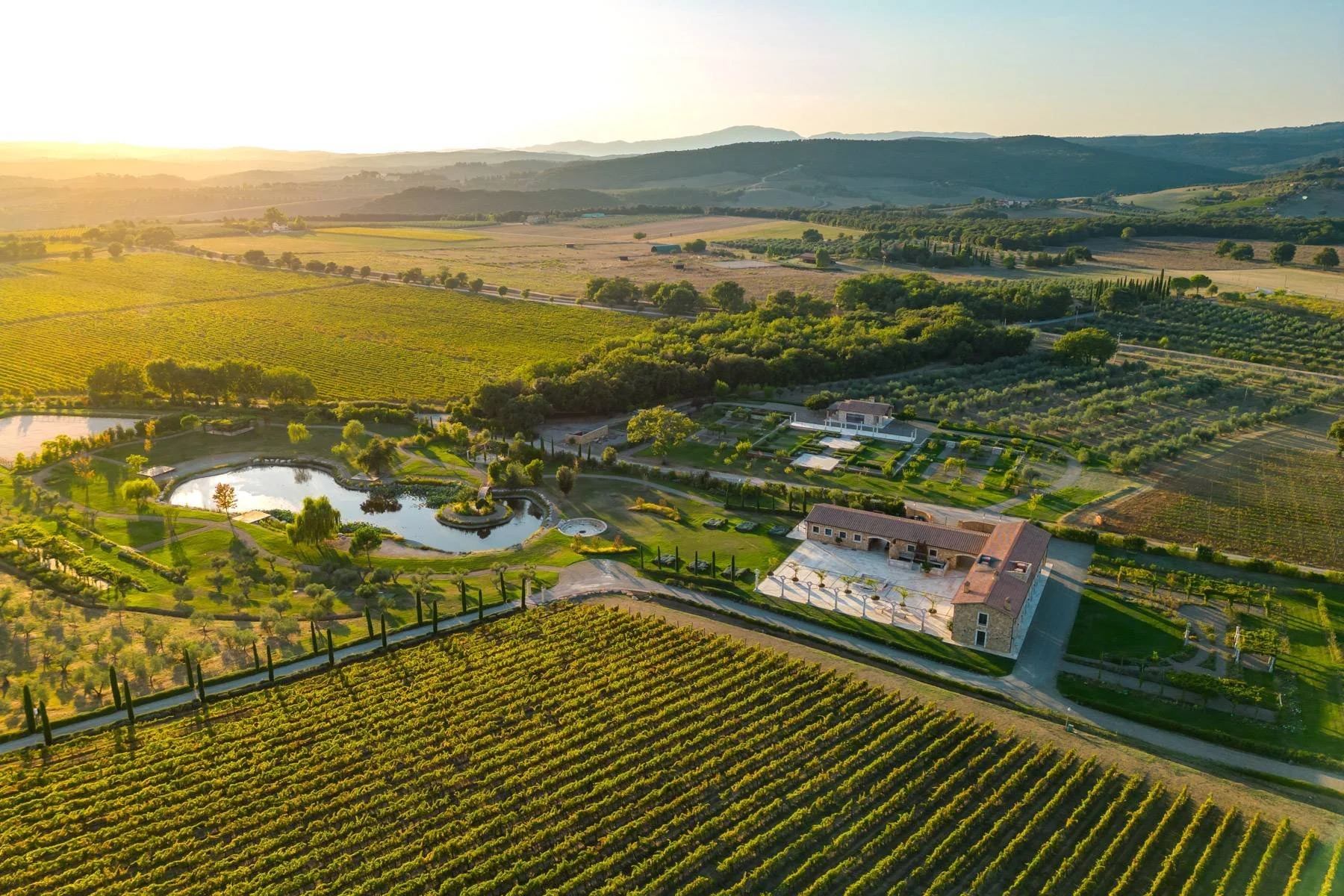 €28,000,000 Tuscan Estate: 84 Acres with Stables, Vineyard, and Olive ...