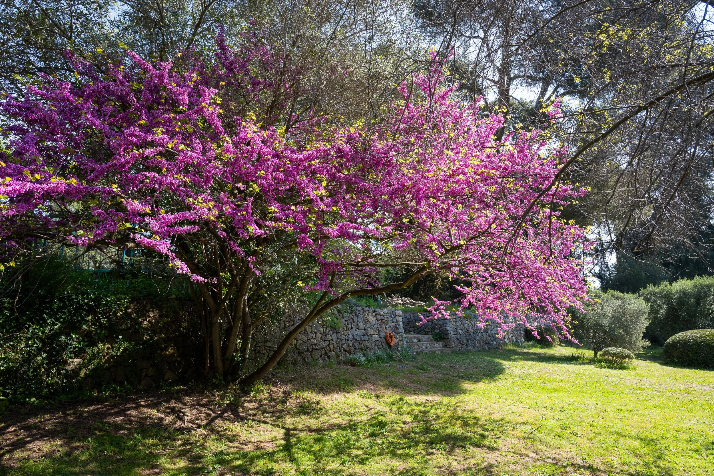 French Riviera Estate with Sea Access, Hidden on Toulon’s San Peyre ...
