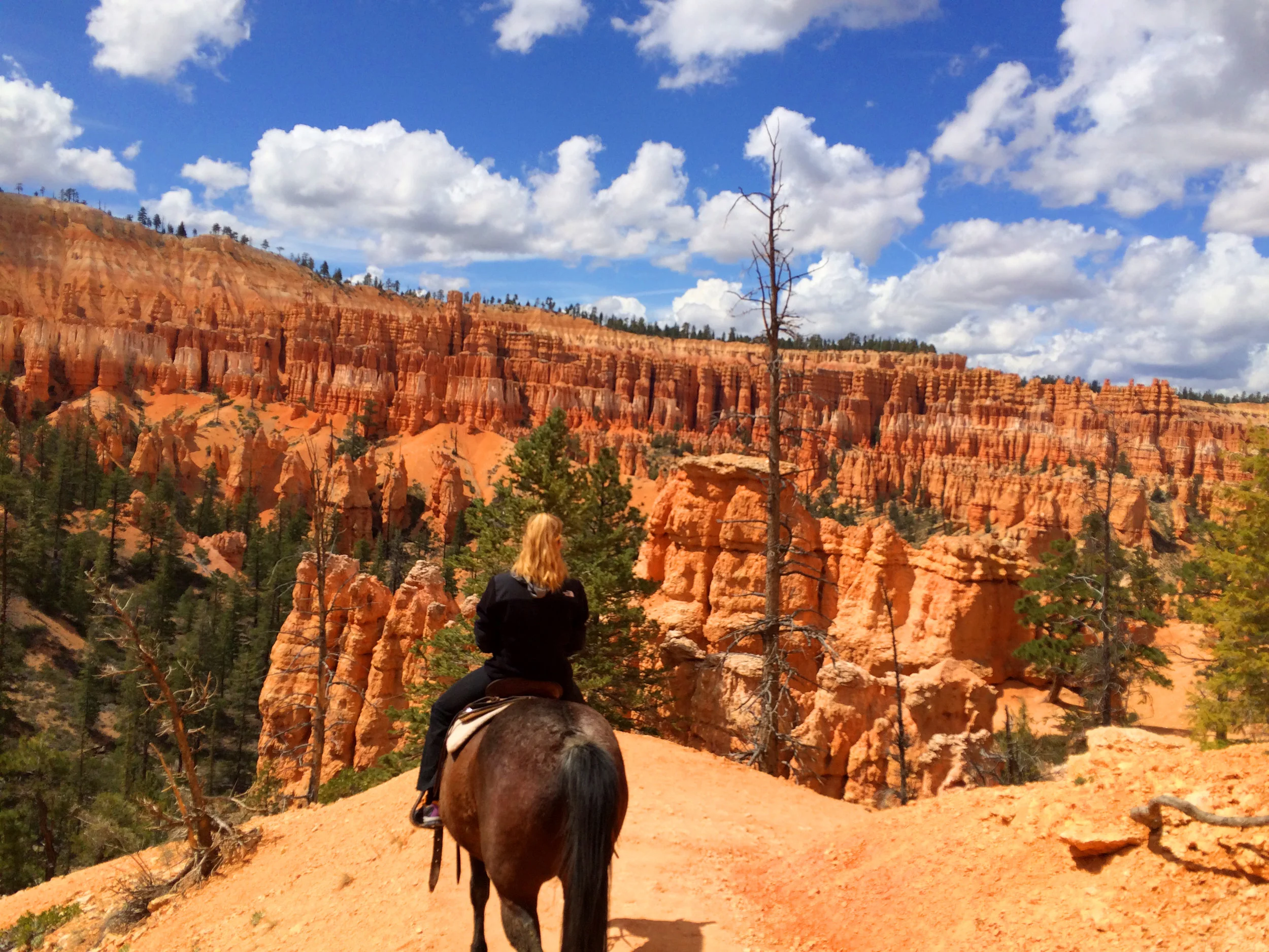 Horseback Riding Adventures In Bryce Canyon National Park — Kelly Goes ...