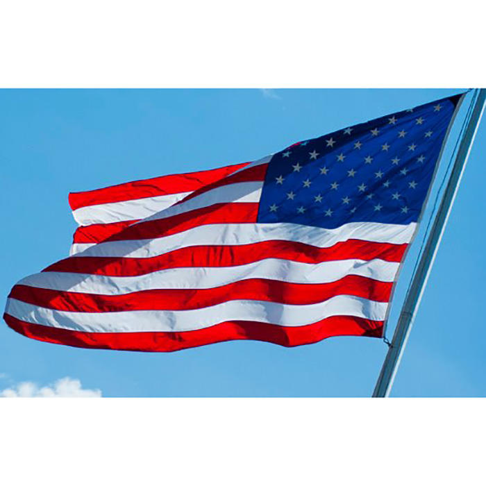 Amurica Flag