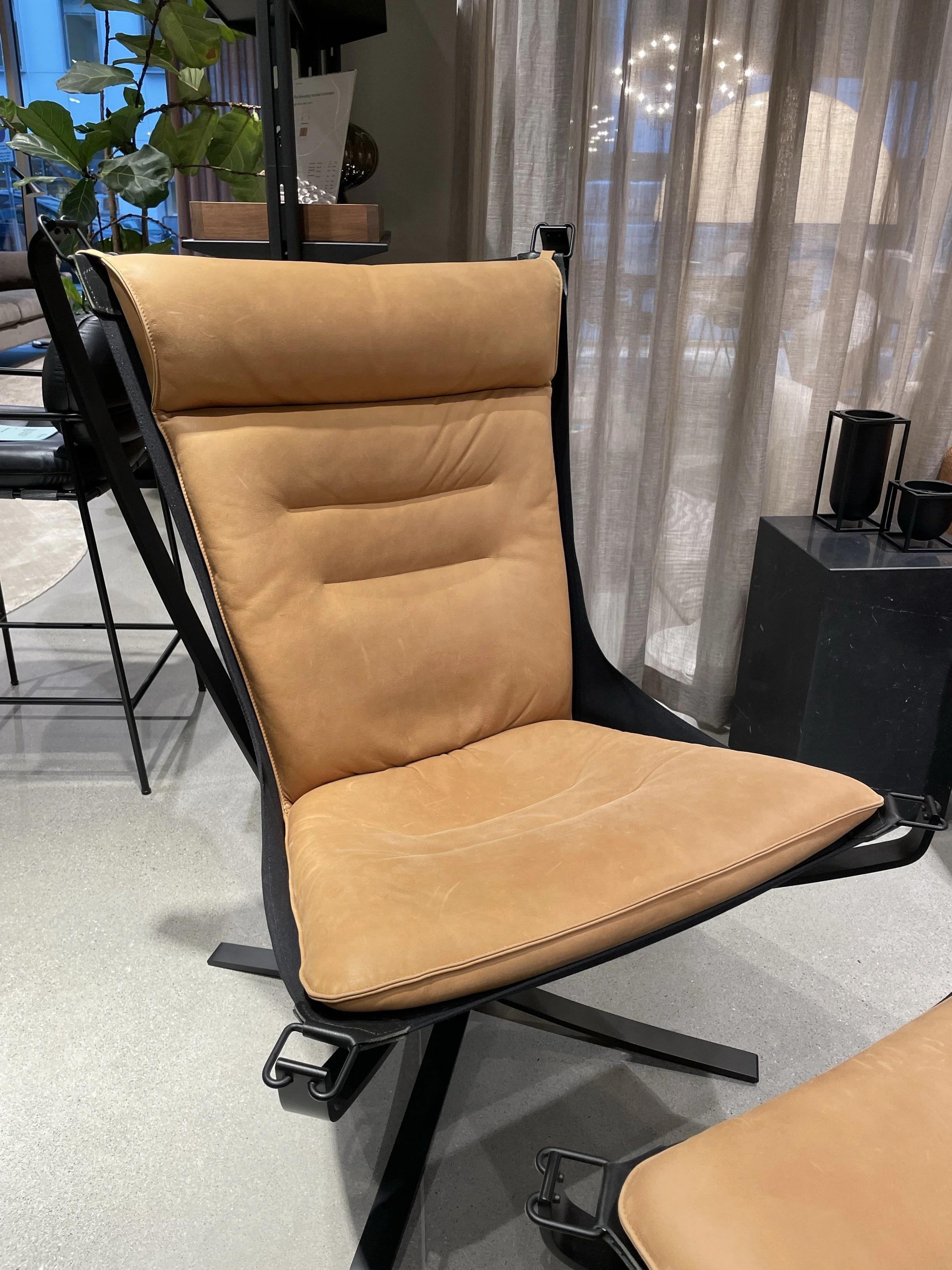 Falcon Phoenix — Berle Bergen