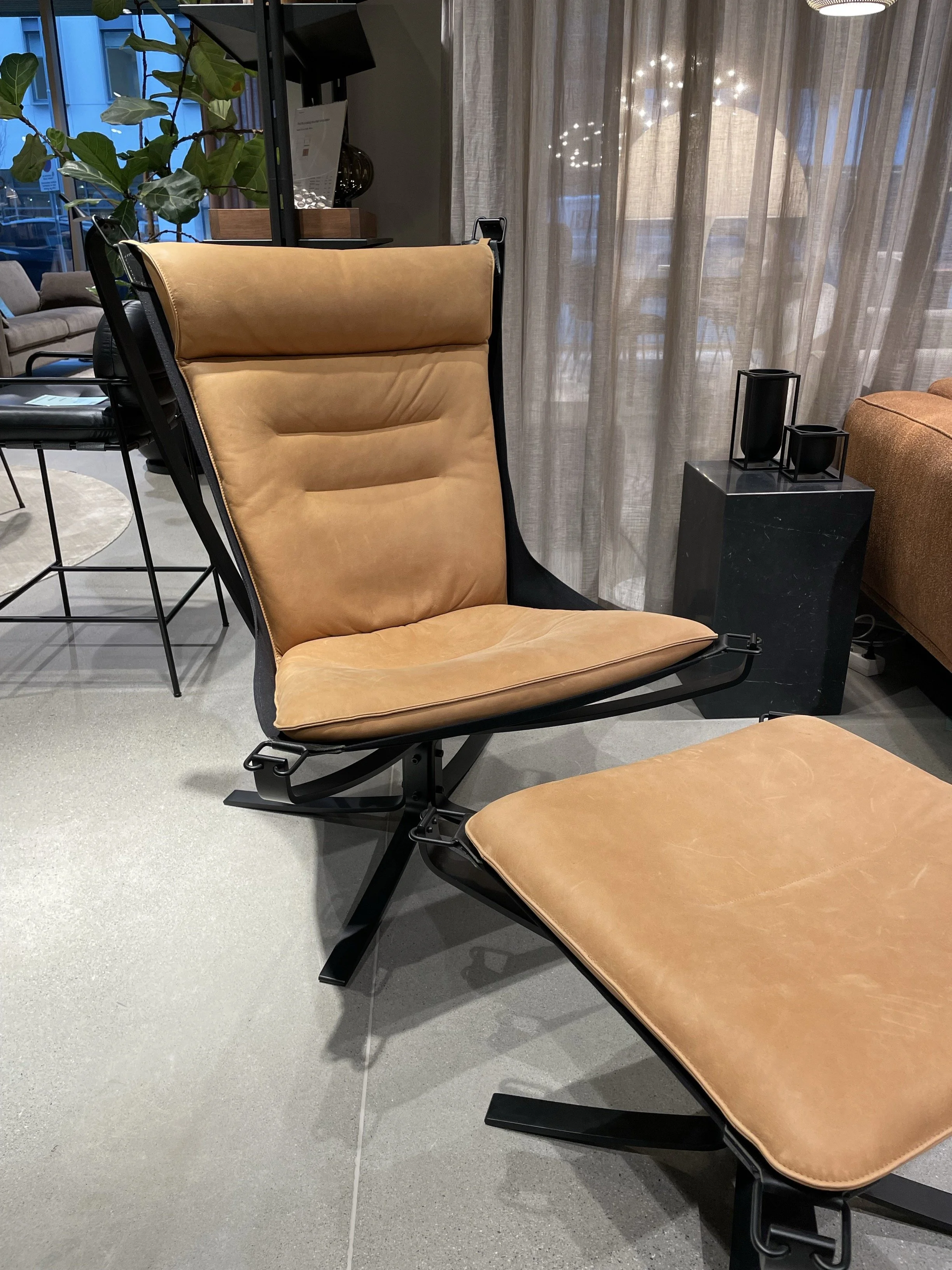 Falcon Phoenix — Berle Bergen