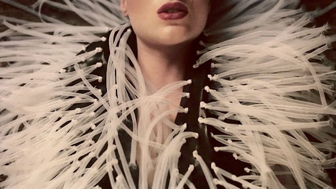 FILM — Photographer & Director Morgan Norman