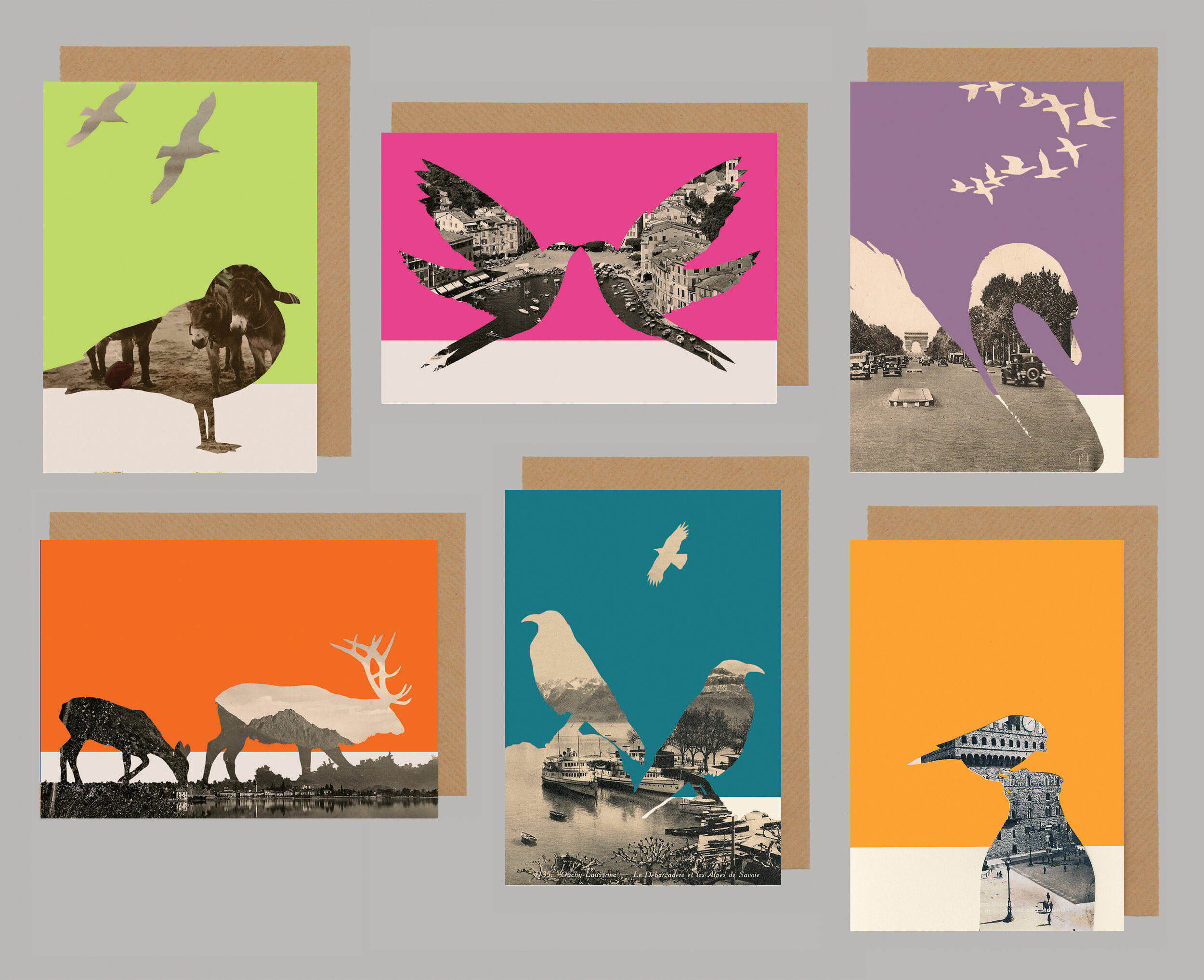 Kate Thornton Design | Nature inspired cards and prints | Buy online