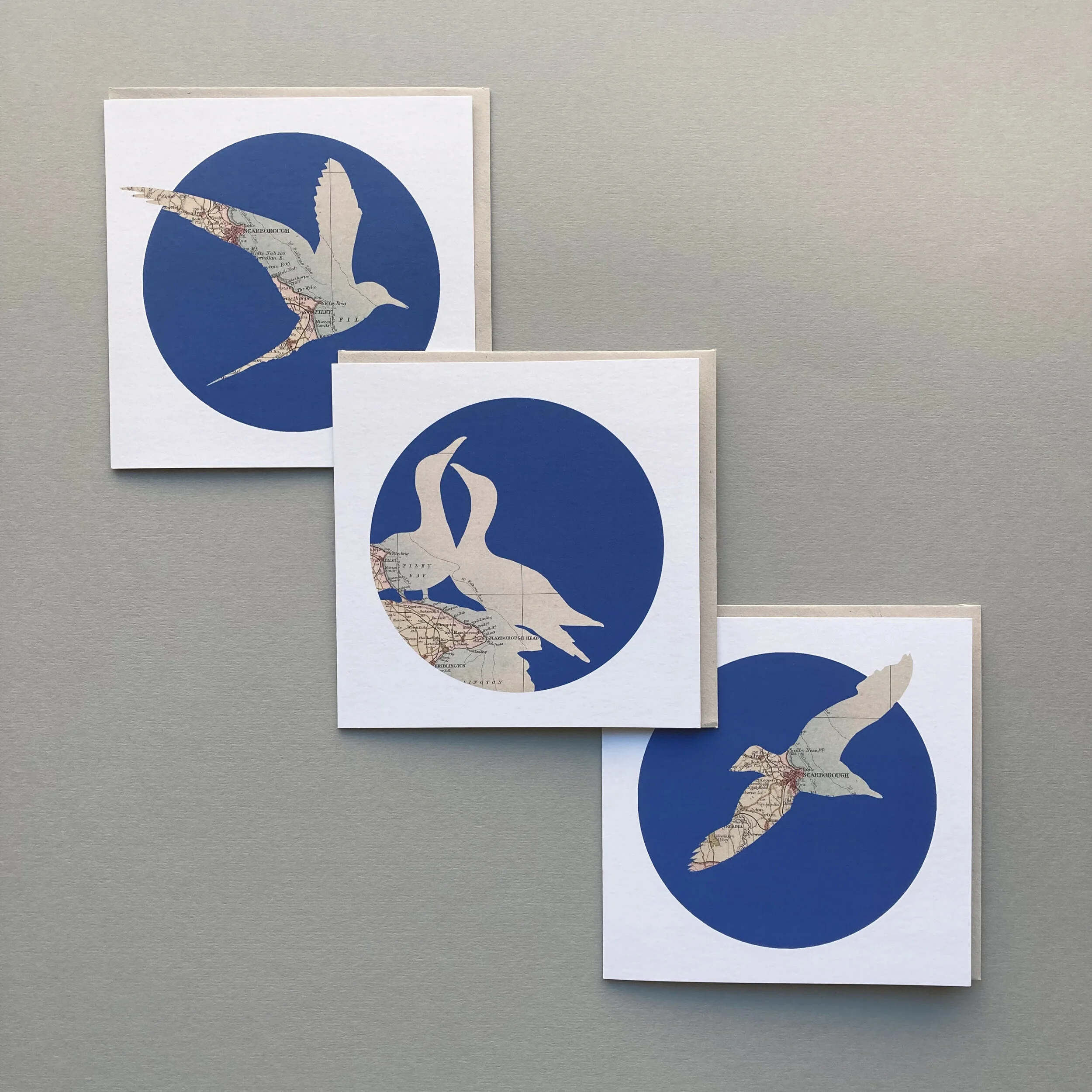 Yorkshire Coast Seabird Cards | Kate Thornton Design