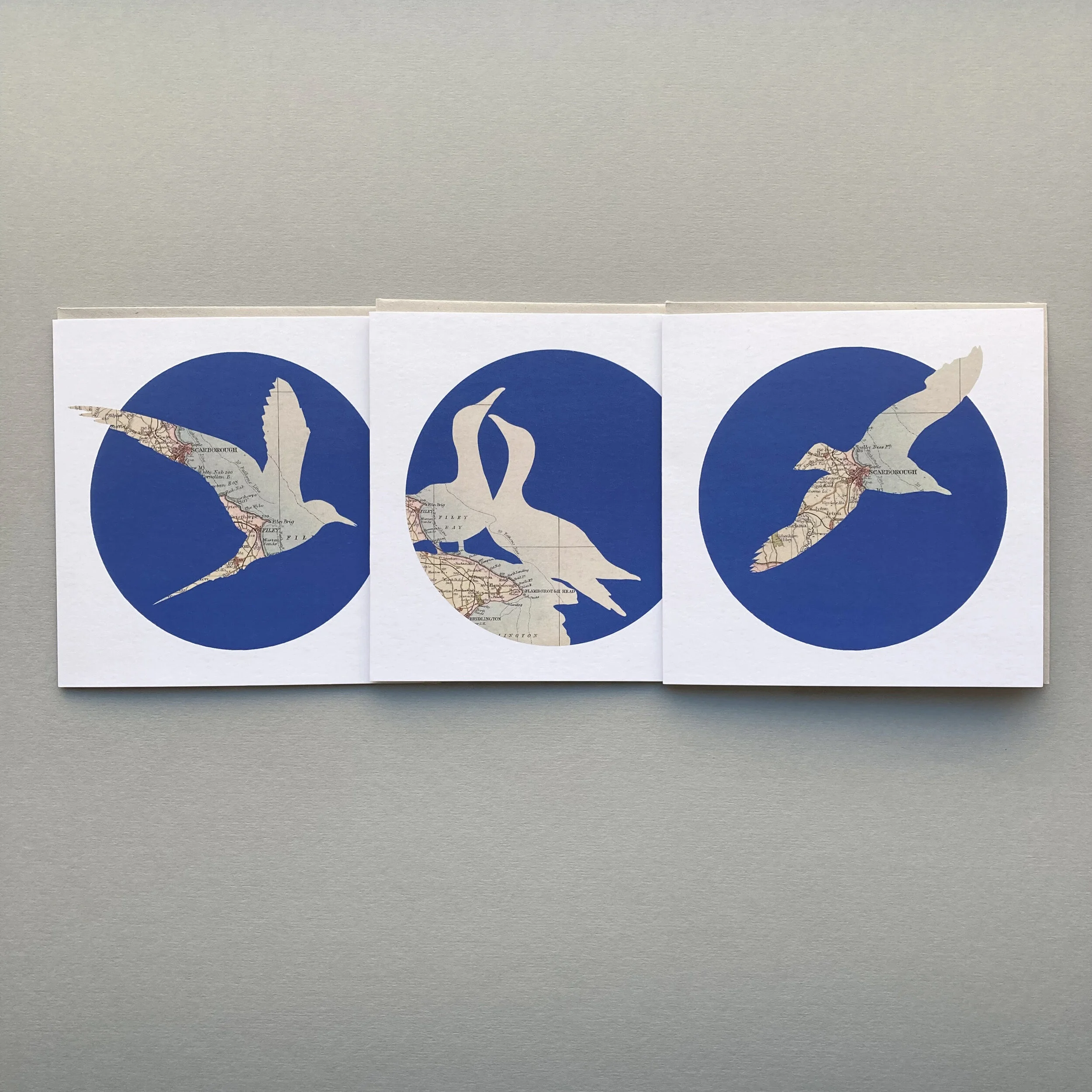 Yorkshire Coast Seabird Cards | Kate Thornton Design