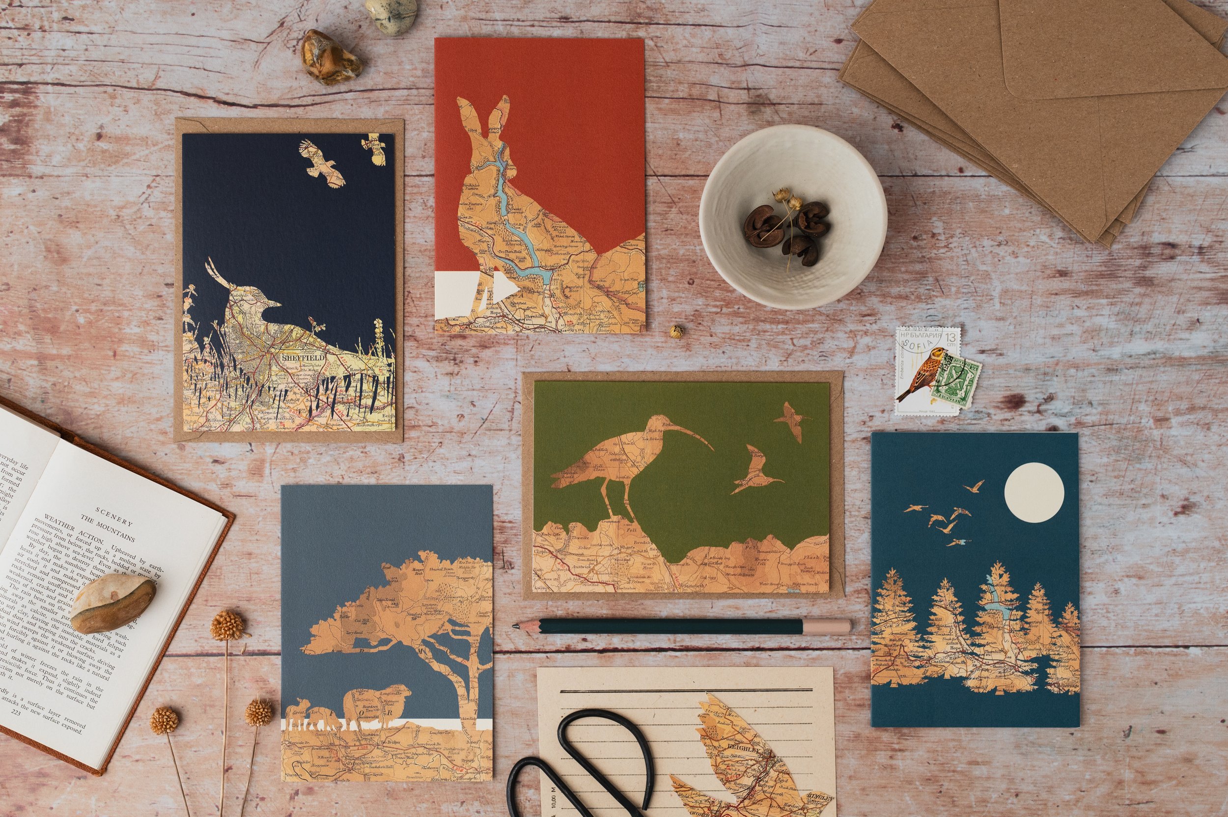 Kate Thornton Design | Nature inspired cards and prints | Buy online