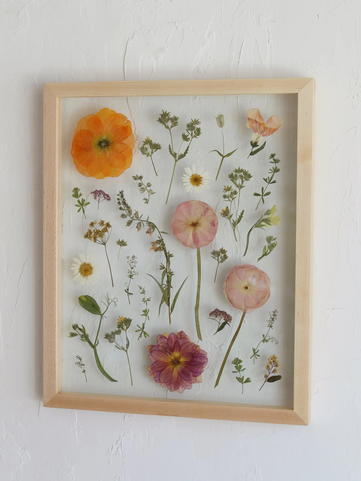 | PRESERVATION INQUIRY & INFO | — Framed Florals