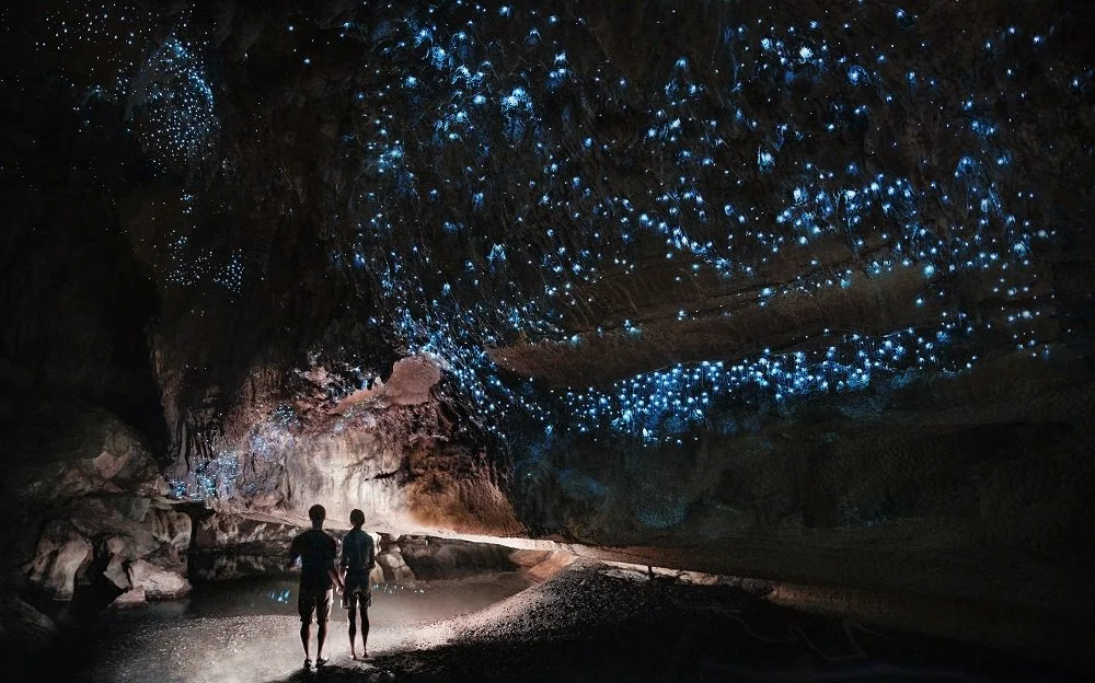 Waitomo Caves — This Is New Zealand