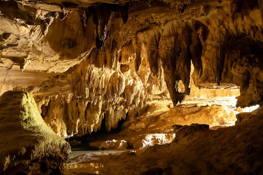 Waipu Caves — This Is New Zealand