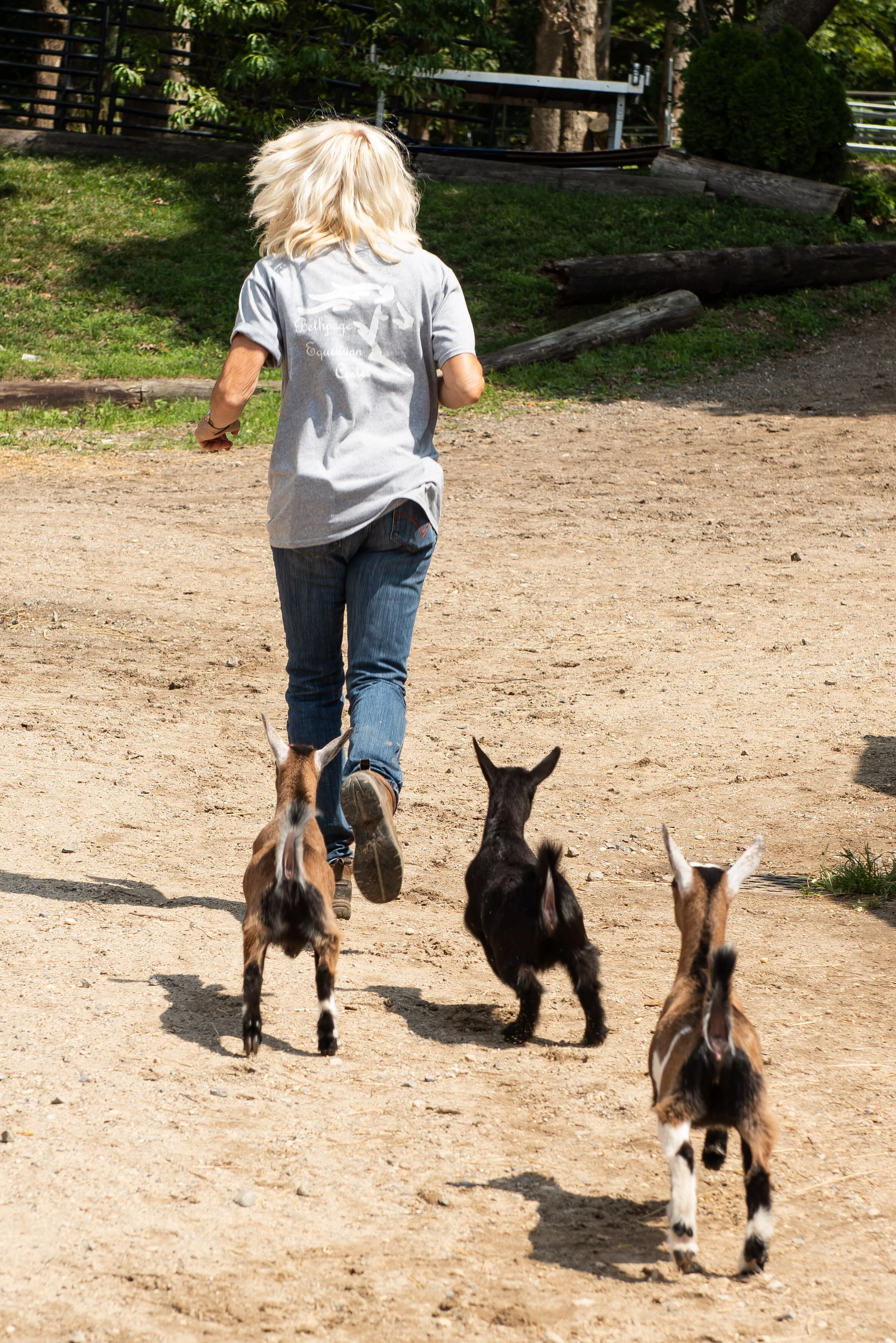 Our Center — Bethpage Equestrian Center