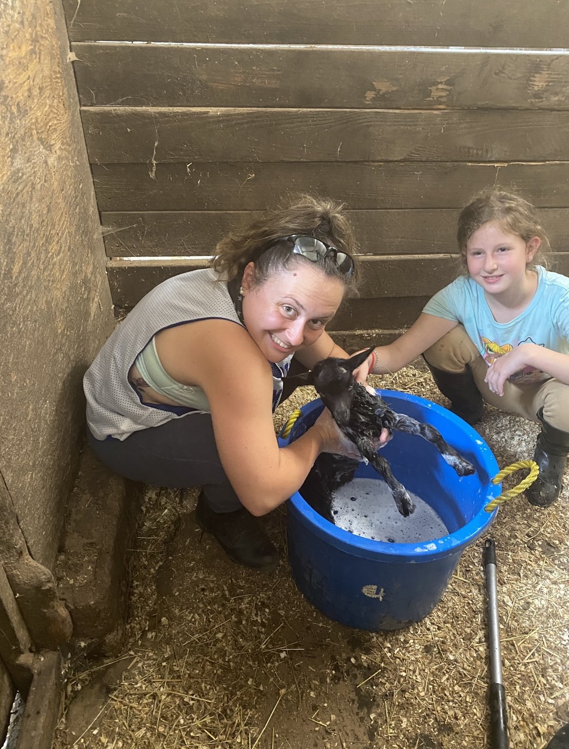 Get Involved — Bethpage Equestrian Center