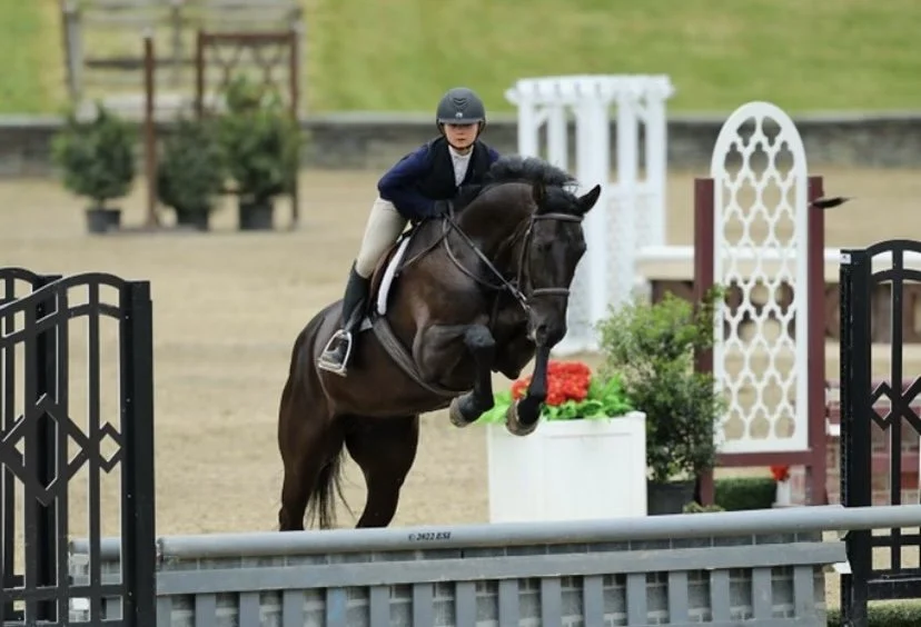Ten Wins LLC Hunter/Jumper Show Barn — Bethpage Equestrian Center