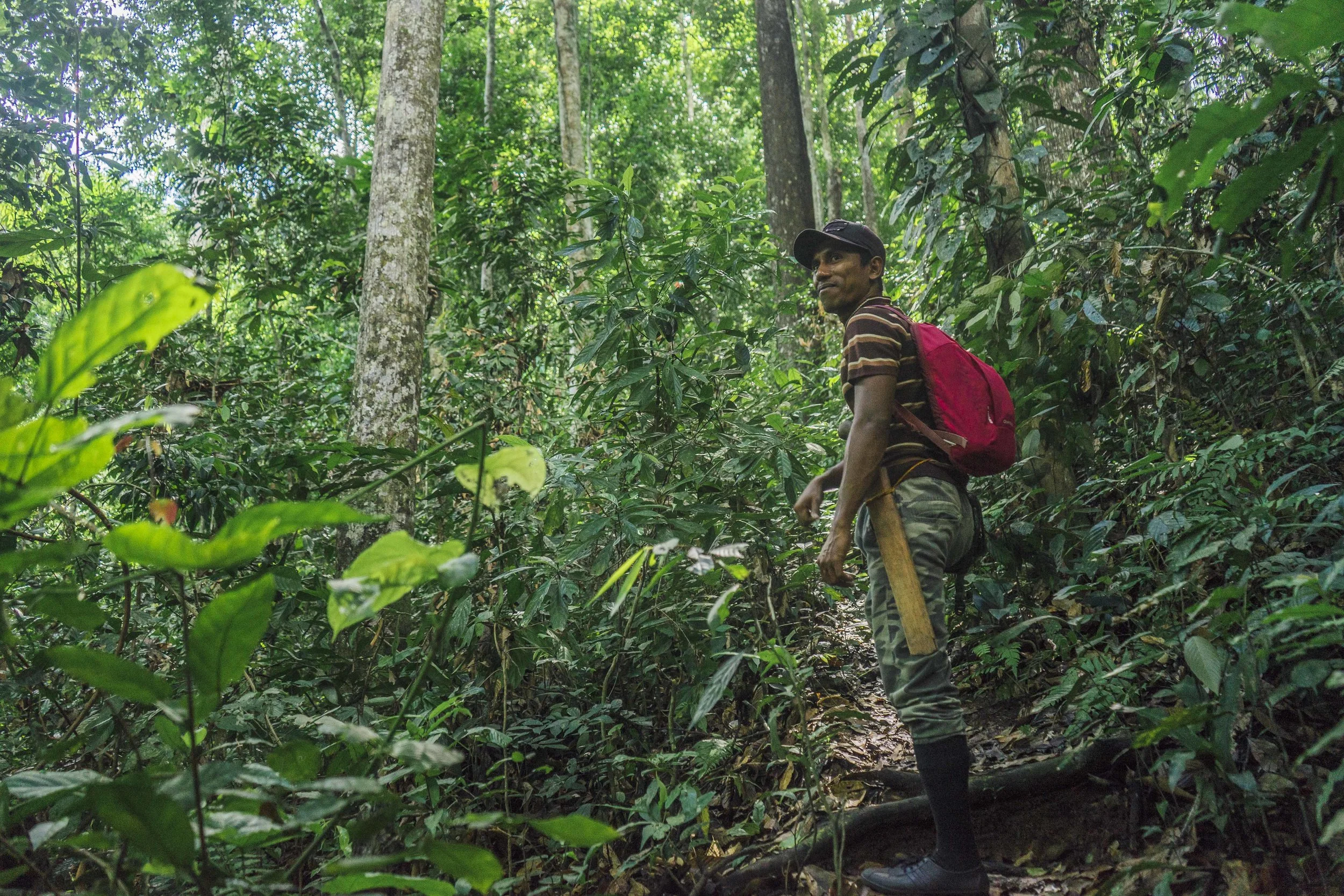 GUNUNG LEUSER NATIONAL PARK: Photographs from Sumatra’s Largest ...