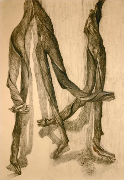 Portraits of Nature — Wendy Shalen